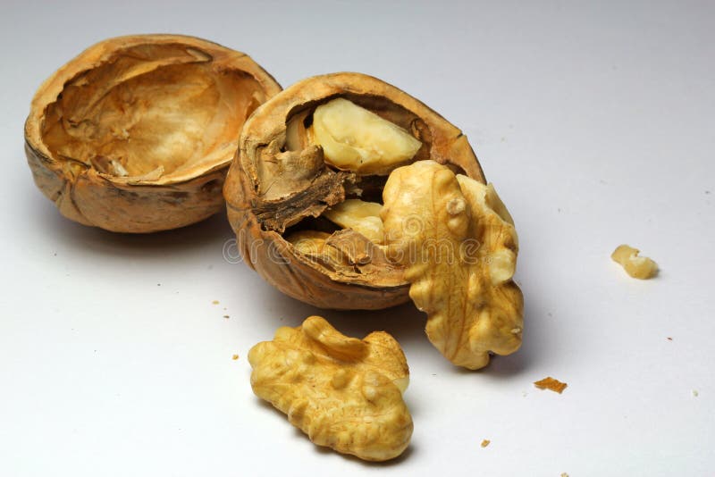 Cracked Walnut with Shell.(Juglans) Stock Image - Image of protein ...