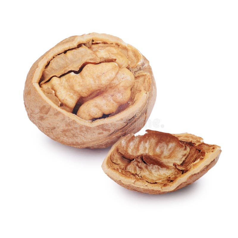 Cracked walnut stock photo. Image of freshness, gourmet - 69481520
