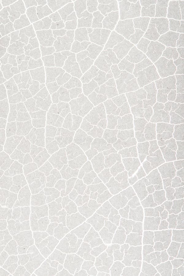 Cracked White Abstract stock photo. Image of aging, grungy - 33213976
