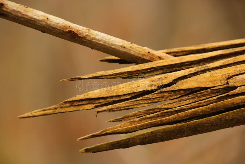 Cracked wood stock photo. Image of structure, sharp - 112140646