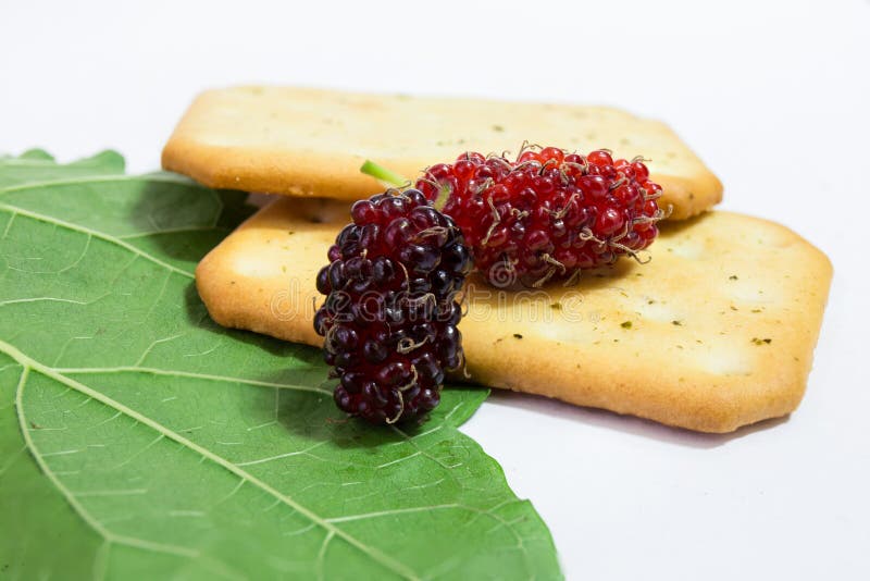 Cracker and Berry on White Background Stock Image - Image of fruit ...