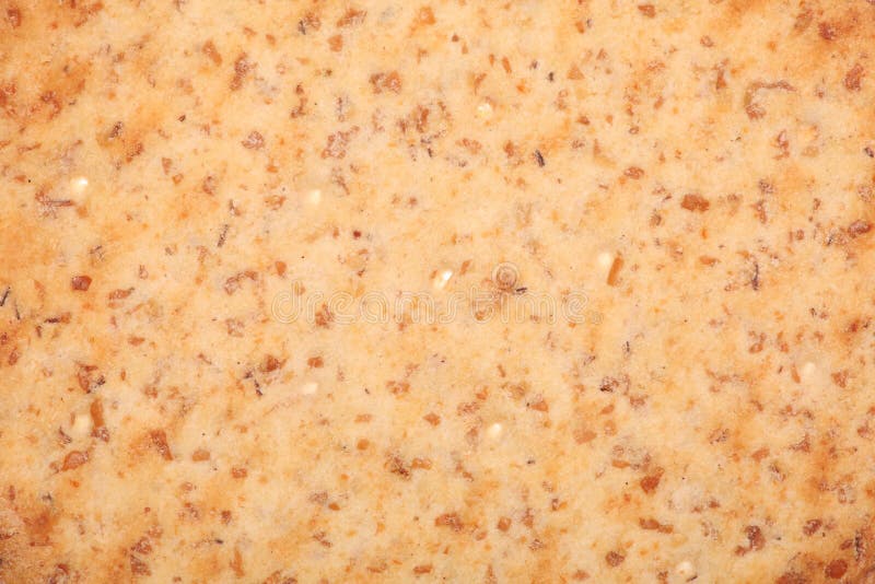 Biscuit Texture stock photo. Image of breakfast, delicious - 27755984