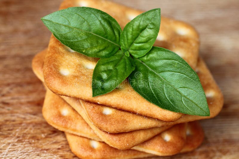 Walnuts stock photo. Image of eatables, life, still, fresh - 10249124