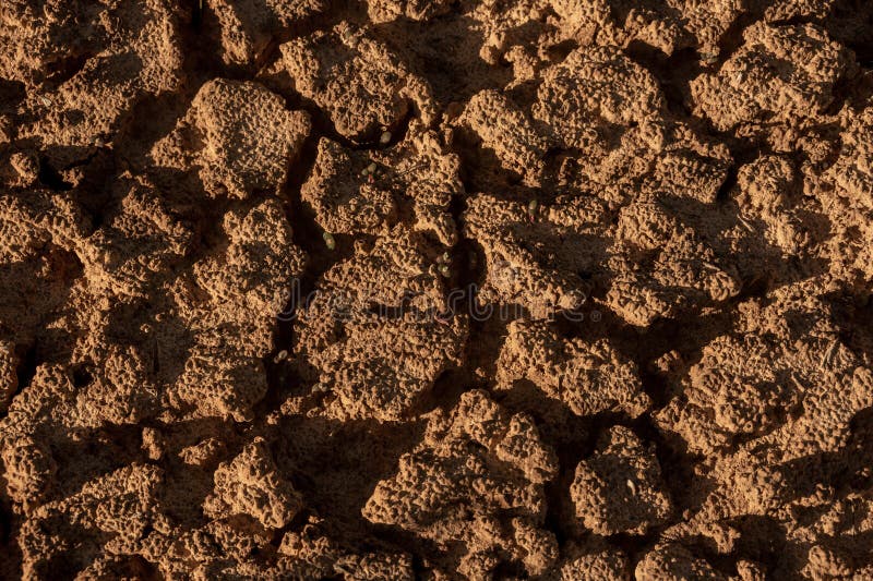 Thick Desert Crust on the Desert Floor Stock Image - Image of close ...