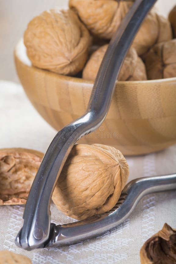 Cracking and Shelling Walnuts Stock Photo - Image of nutshell, crack ...