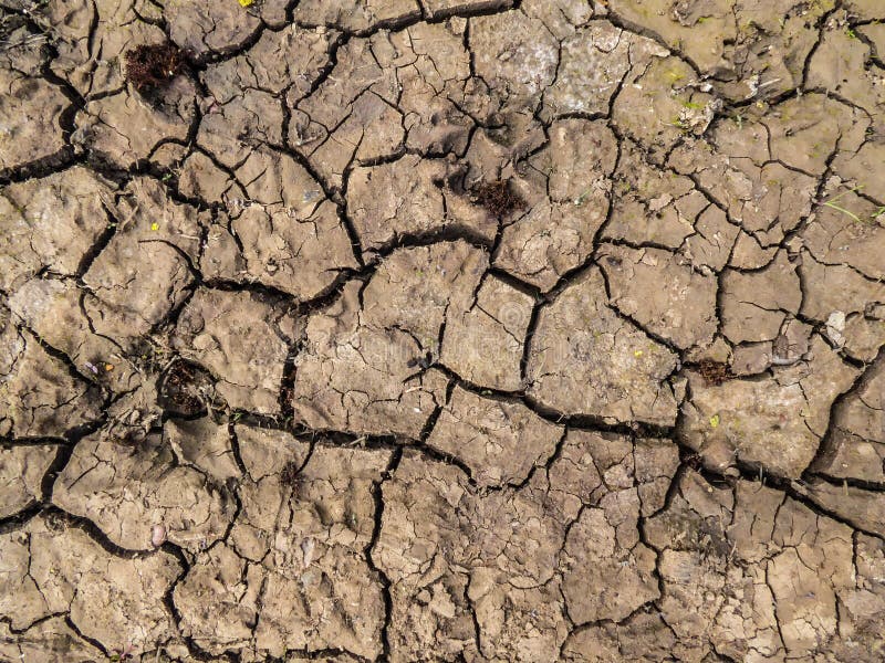 Abstract Cracks Patterns in the Dry Top Soil of a Field Stock Photo ...