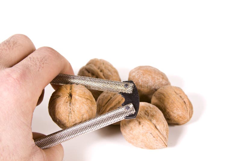 Cracking Walnuts stock photo. Image of detail, walnut - 12799562
