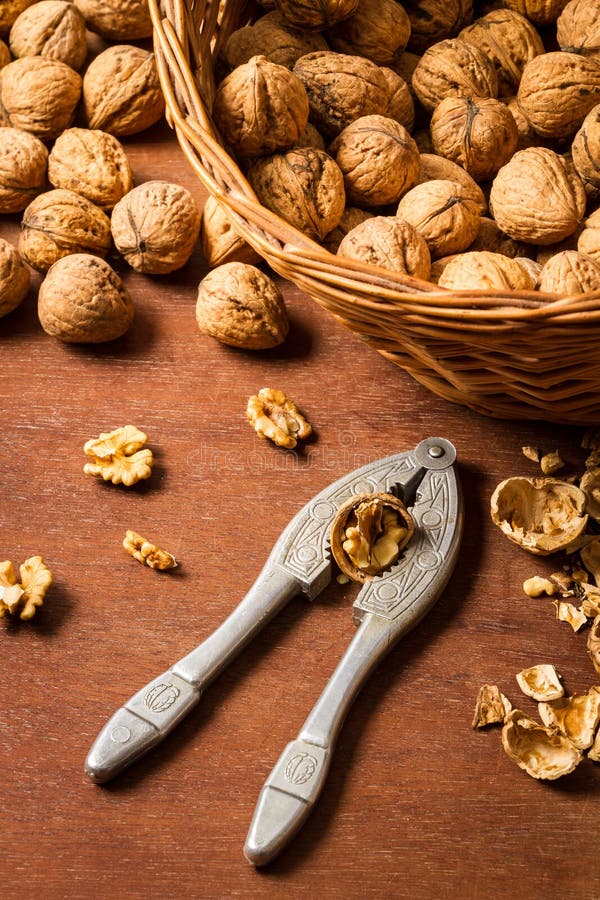 Cracking walnuts stock image. Image of bread, nutcracker - 27674403