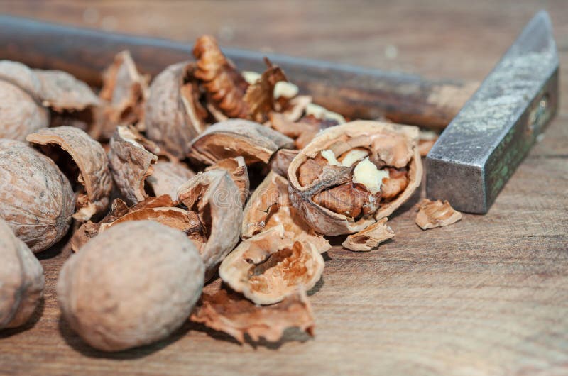 Cracking Walnuts with a Hammer Stock Photo - Image of working, eating ...