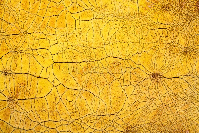 Crackle background texture stock image. Image of painting - 136044749