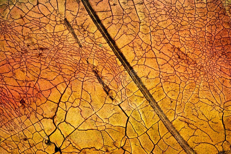 Crackle background texture stock photo. Image of stained - 136044156
