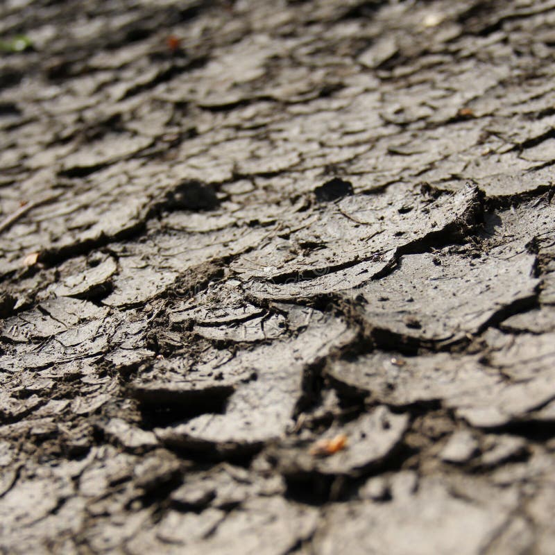 Crackled mud stock image. Image of dead, evaporate, broken - 59491391