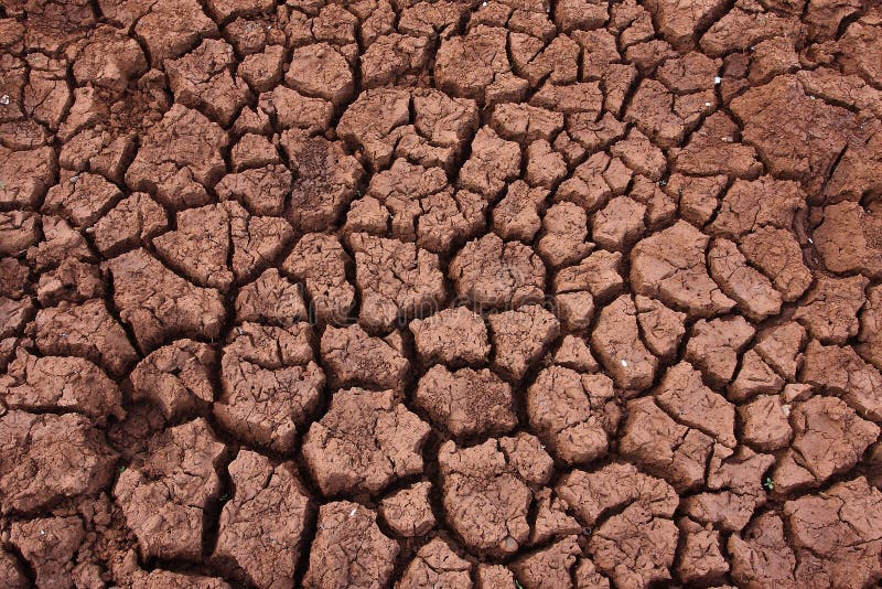 Crackled soil stock image. Image of harshness, abstract - 14075919