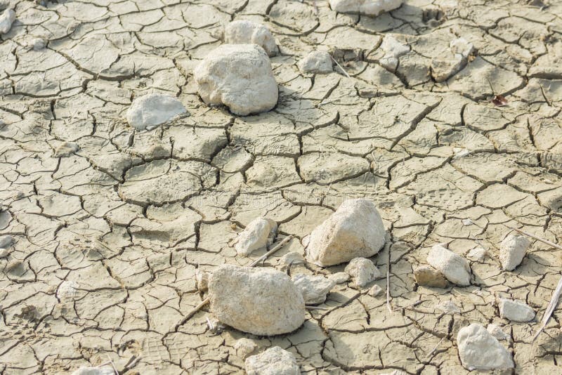 Cracks in the Ground from a Dried Up Pond with White Stones Stock Photo ...