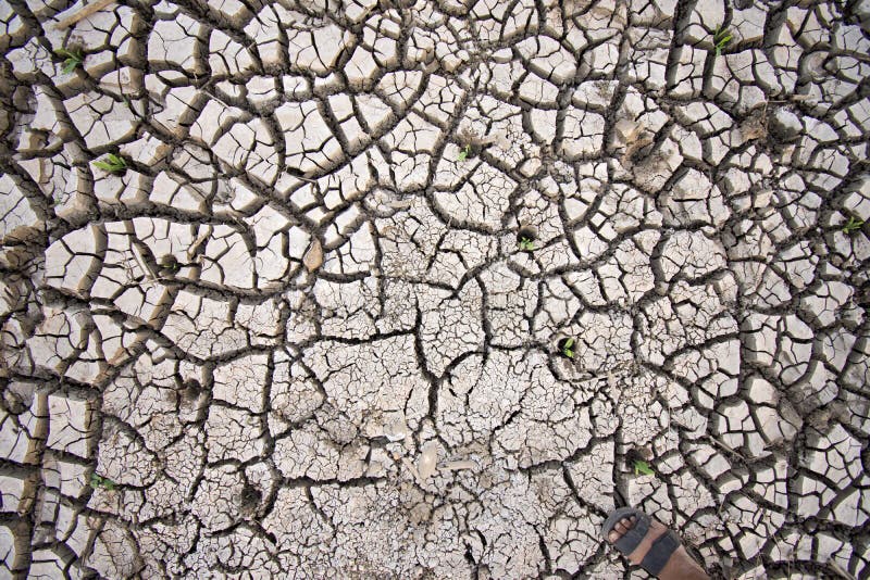 Cracks In Ground During Dry Season Drought Stock Photo - Image of large ...