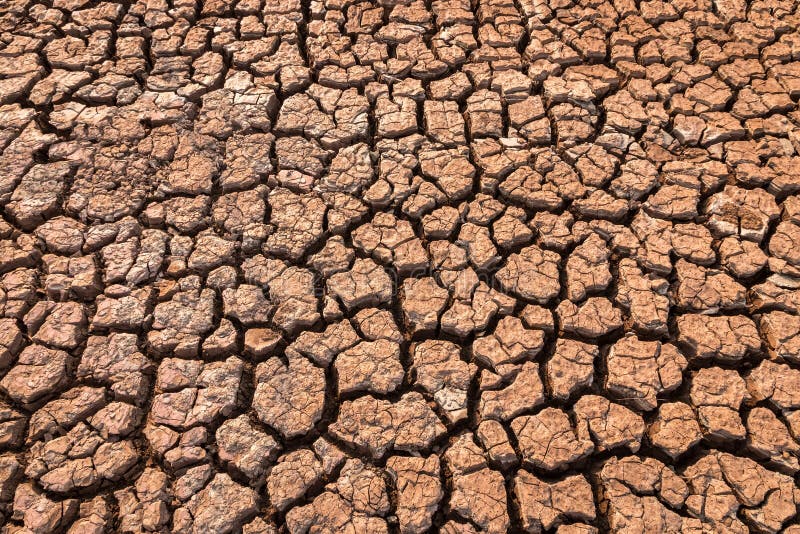 Cracks in the Land in Rural Areas Stock Photo - Image of environment ...