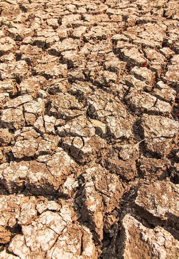 Cracks in the Land in Rural Areas Stock Photo - Image of environment ...