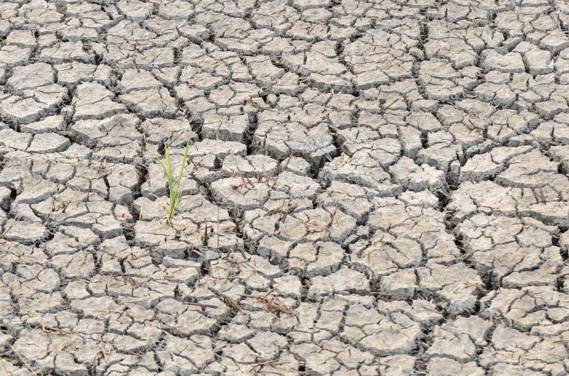 Cracks in land stock photo. Image of carck, environmental - 75191718