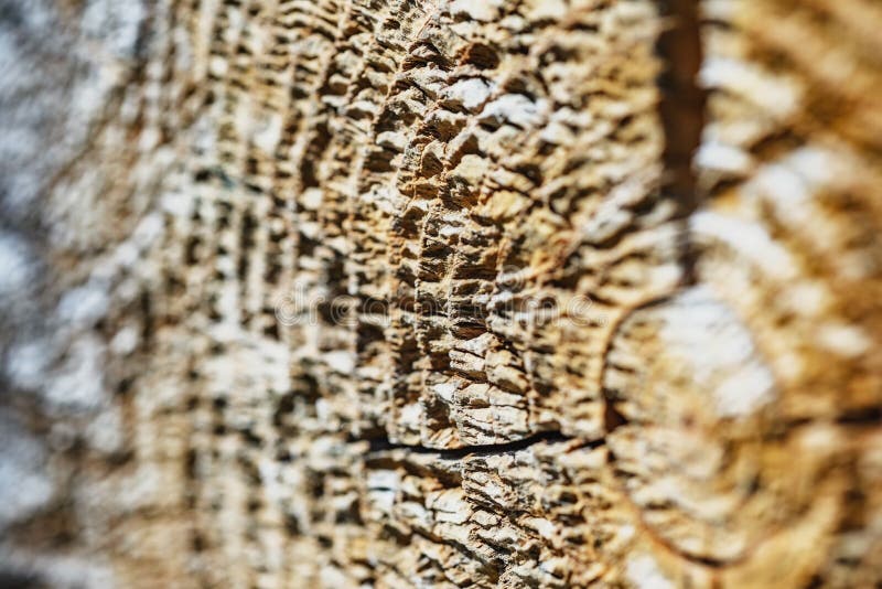 Cracks log stock image. Image of retro, plank, backdrop - 92489591