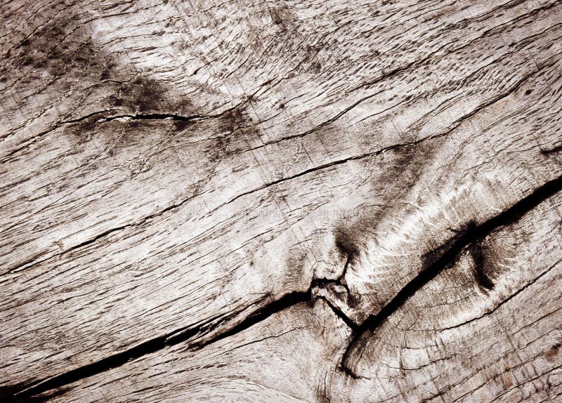 Cracks in old oak wood stock photo. Image of board, dark - 72031930