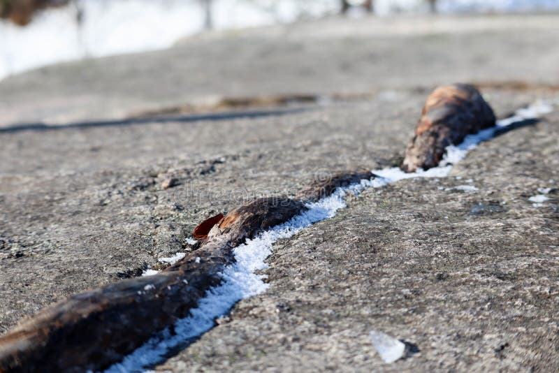 Cracks in Rocks Filled with Snow Close Up Stock Photo - Image of dirty ...