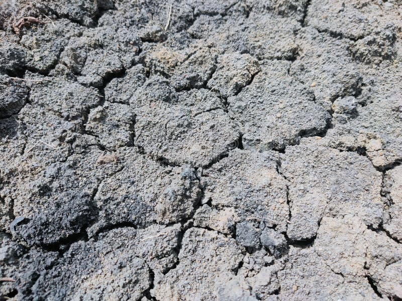 Cracks and Rough Surfaces of the Ground in the Garden. Stock Image ...
