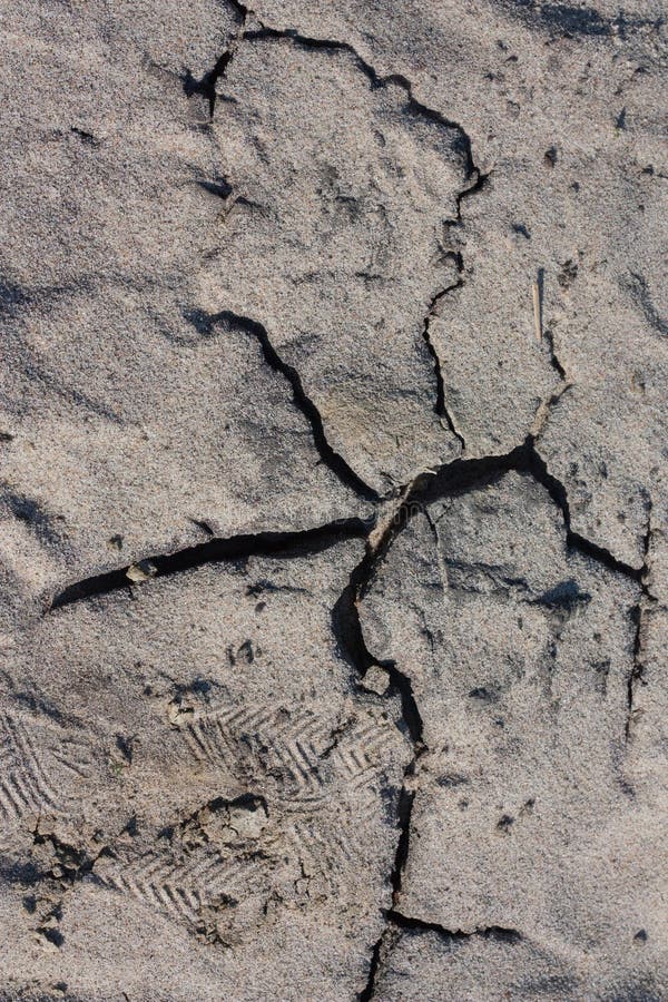 Cracks in the sand stock image. Image of erosion, ecology - 71444275