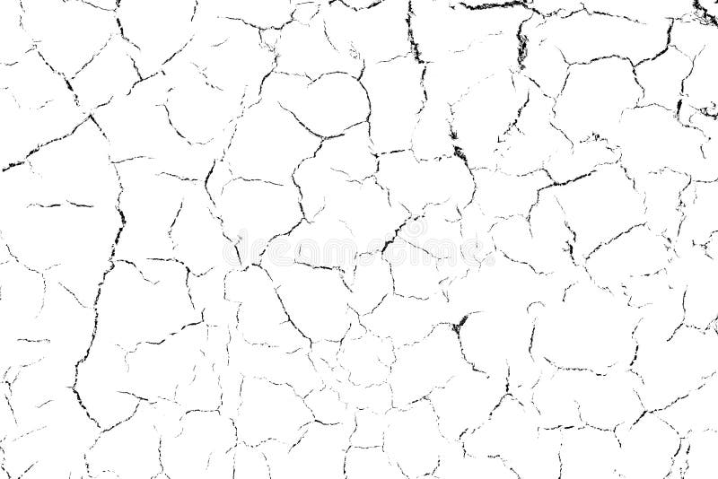 The Cracks Texture White and Black Cracked, Background of White, for ...