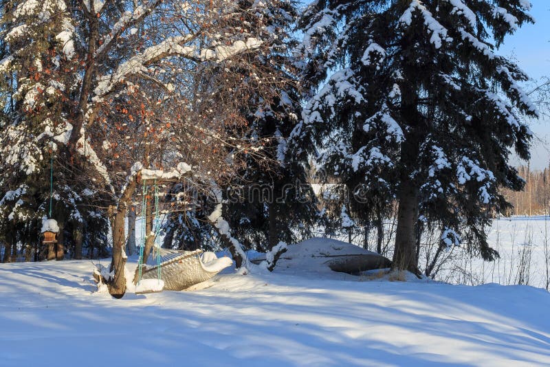 Cradle, Backlight, Sun, Snow and Trees Stock Photo - Image of snow ...
