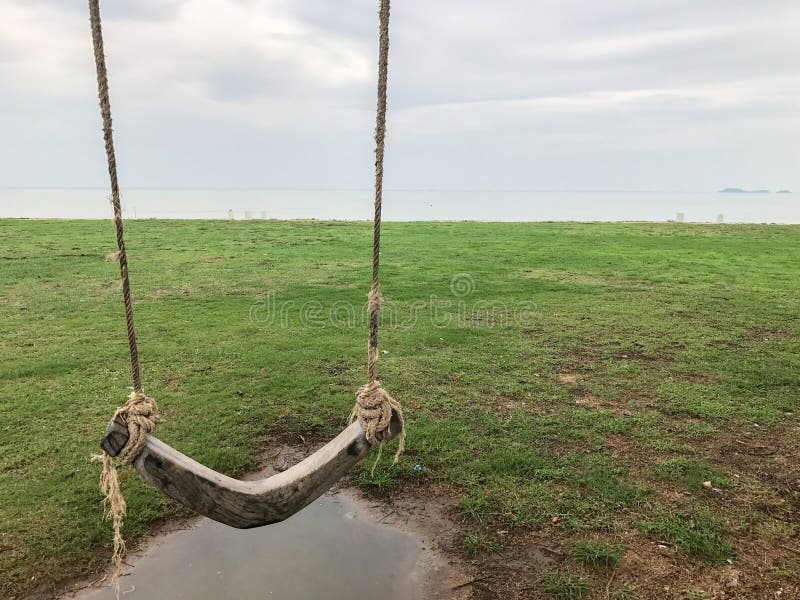 Cradle Hang with the Tree on the Beach Sea View Stock Image - Image of ...
