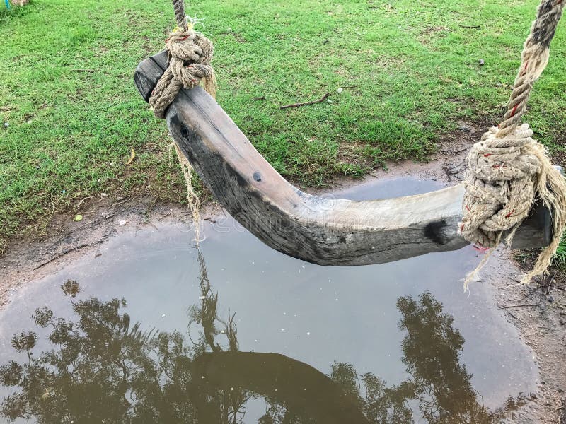 Cradle hang with the tree stock photo. Image of girl - 111291490