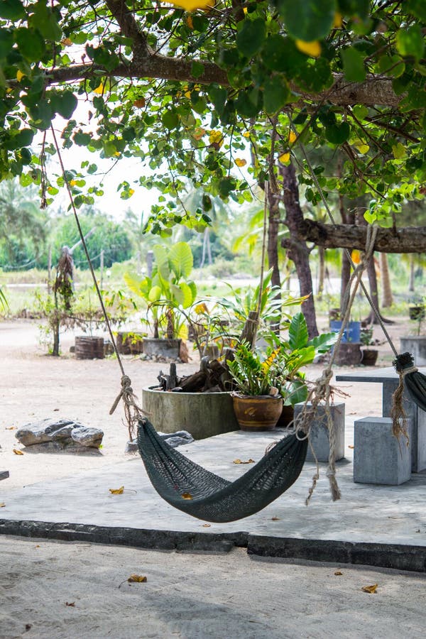 Cradles under a tree stock photo. Image of green, tree - 39148820