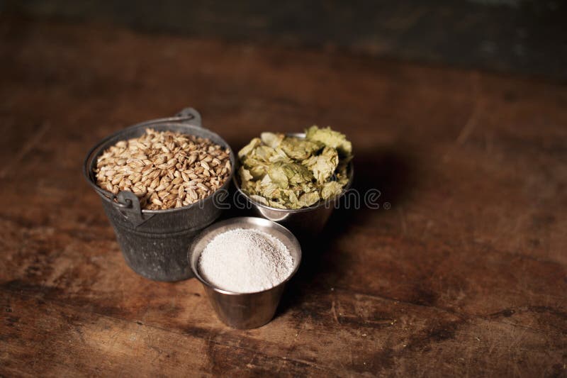 Craft Beer Ingredients stock photo. Image of homemade - 58431622