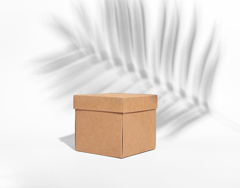 Craft Beige Box, Kraft Cardboard, Palm Leaf Shadow Stock Image - Image ...