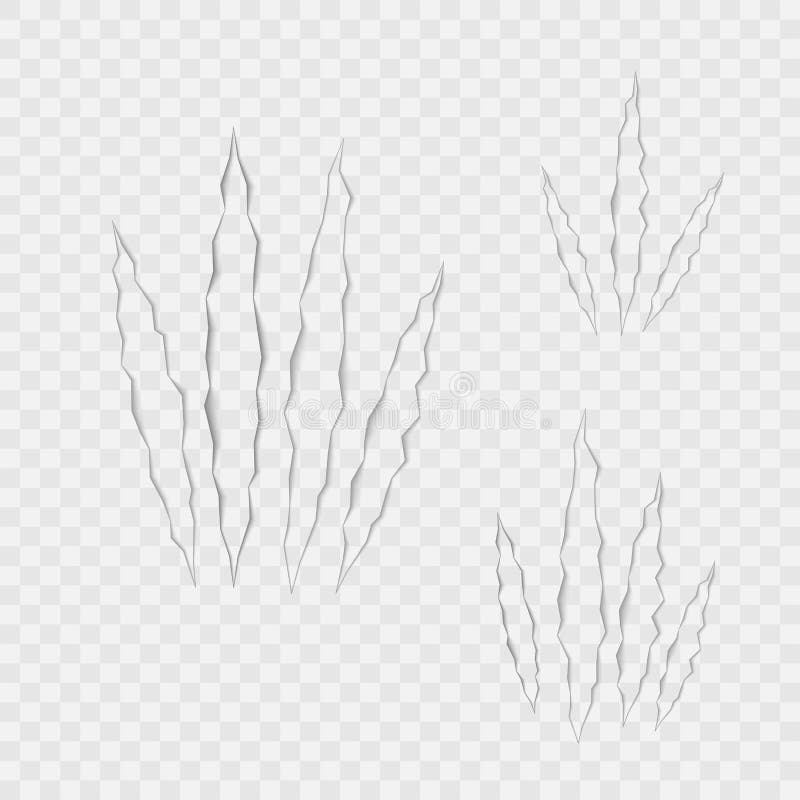 Cat scratches transparent stock vector. Illustration of surface - 65401659