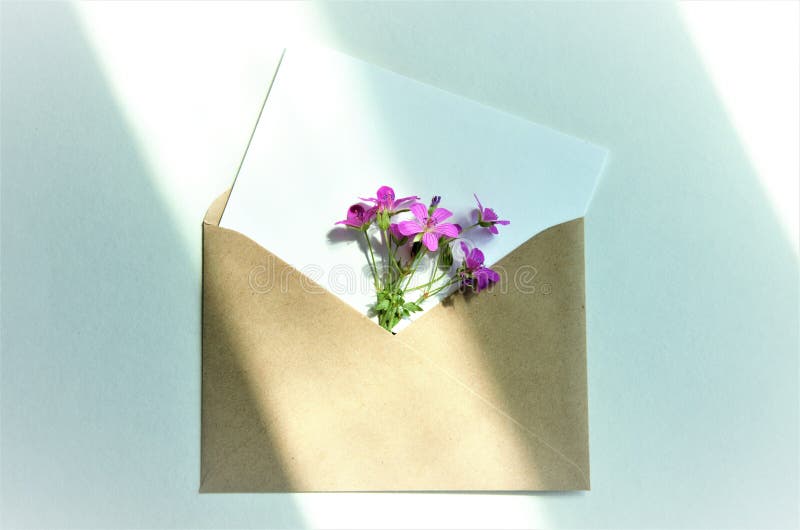 Craft Envelope for Congratulations and Letters with Flowers Real Inside ...