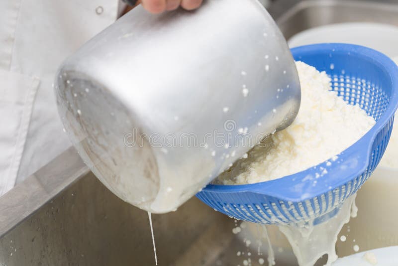 Making cheese stock image. Image of wood, form, wooden, round - 9871