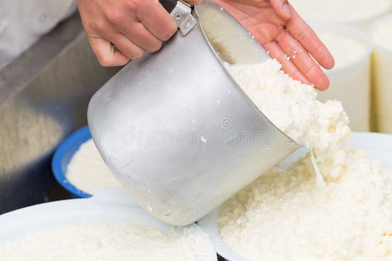 Craft making cheese stock image. Image of cheese, artisan - 54143845