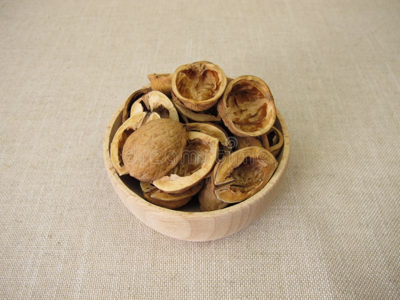 Craft Material Made from Halved Walnut Shells Stock Photo - Image of ...