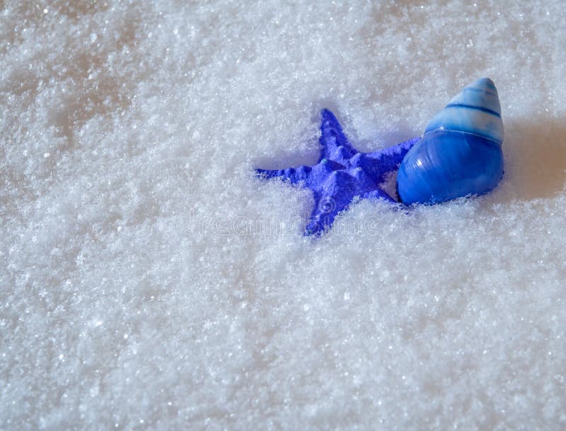 Starfish and snail stock photo. Image of invertebrate - 36116454