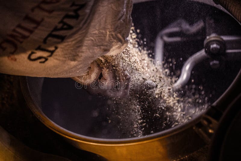 Crafting Beautiful Beer the Art of Skillfully Adding Malted Barley in ...