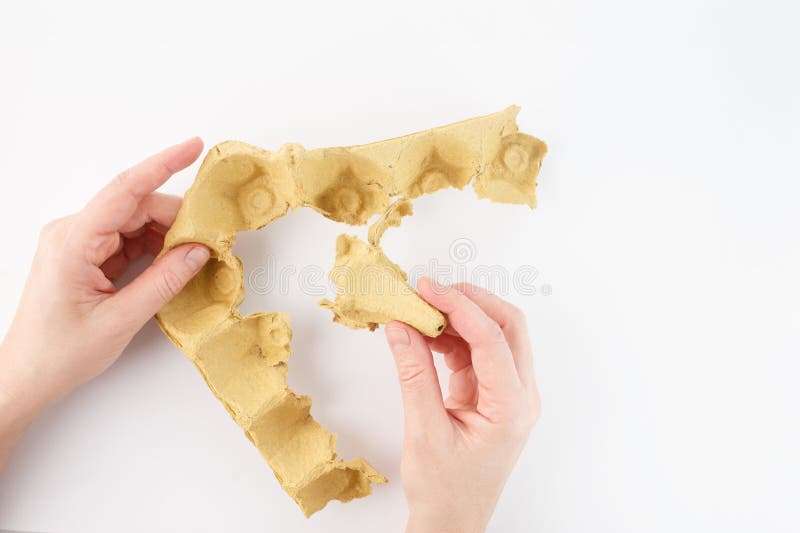 Crafting Process of Making a Paper Craft from Egg Cartons. Step-by-step ...