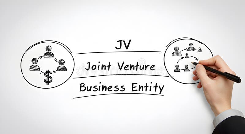 Crafting a Successful Joint Venture: Visualizing Business Entity ...