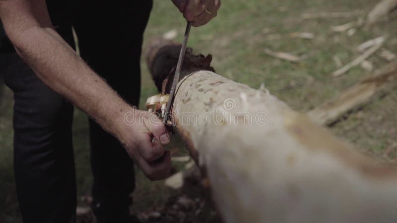 Lumberjack Removes Tree Bark Stock Video - Video of work, blur: 274208303