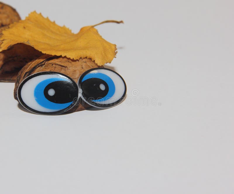 Crafts from Natural Materials, the Head of the Caterpillar of the ...