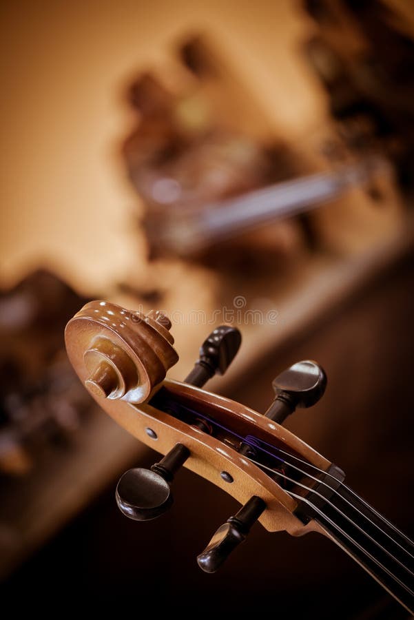 Craftsman Working in Workshop Lutemaker Stock Image - Image of ...