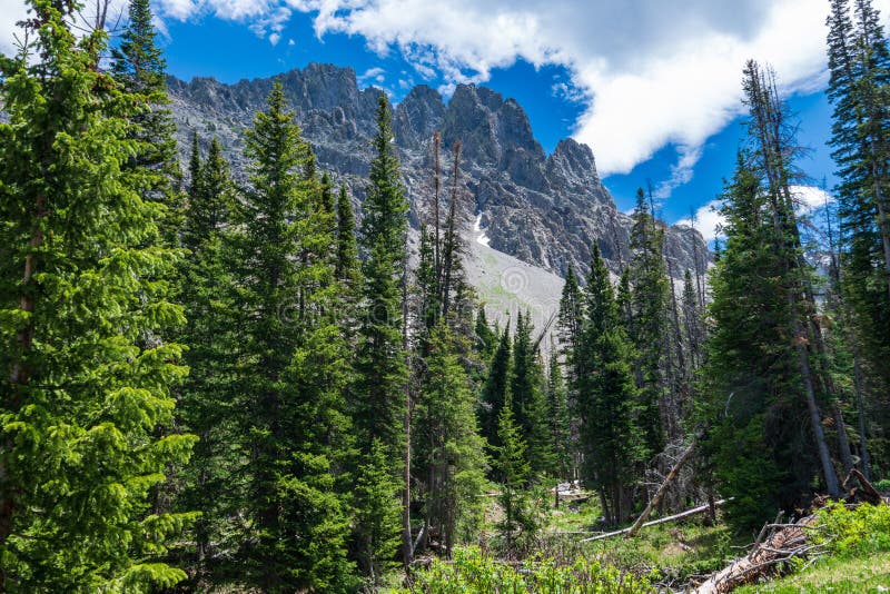 The Crags in State Forest State Park Stock Photo - Image of pine ...