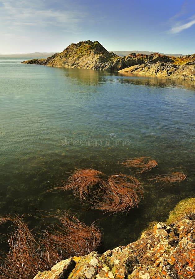 Craignish Point, Argyll, Scotland Stock Photo - Image of lichen ...