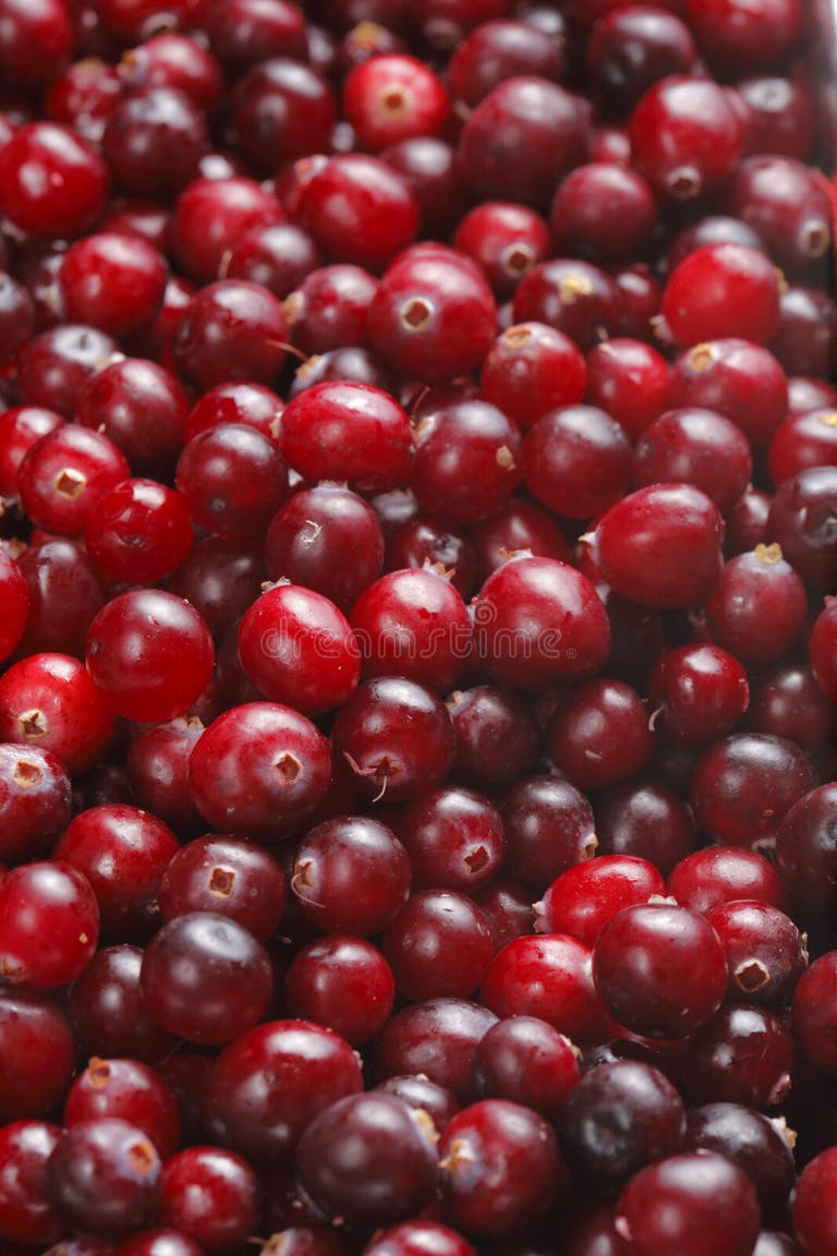 3,224 Cranberries Texture Background Stock Photos - Free & Royalty-Free ...