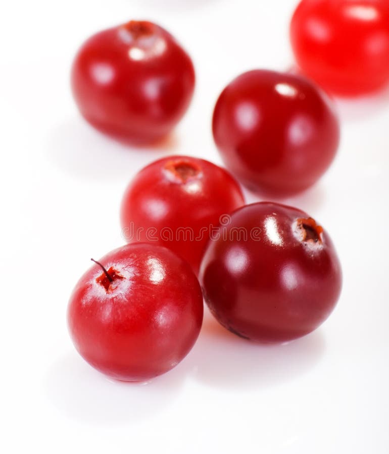 Cranberries stock photo. Image of dessert, fruit, autumn - 9767724